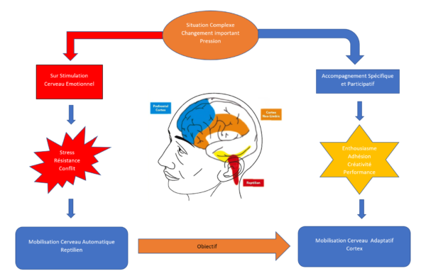 Formations Bien être au travail - Nathalie Taurine